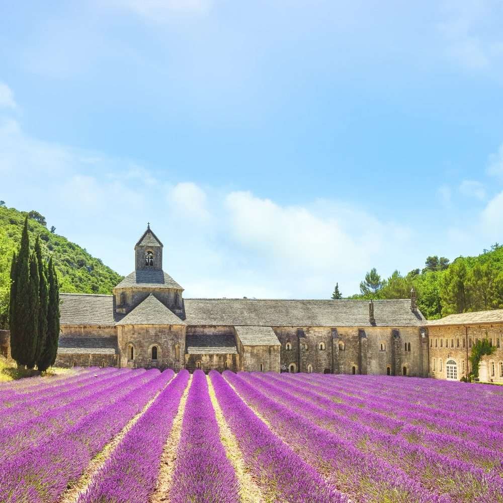 The Ultimate Guide to Visiting Provence, France in the Summer